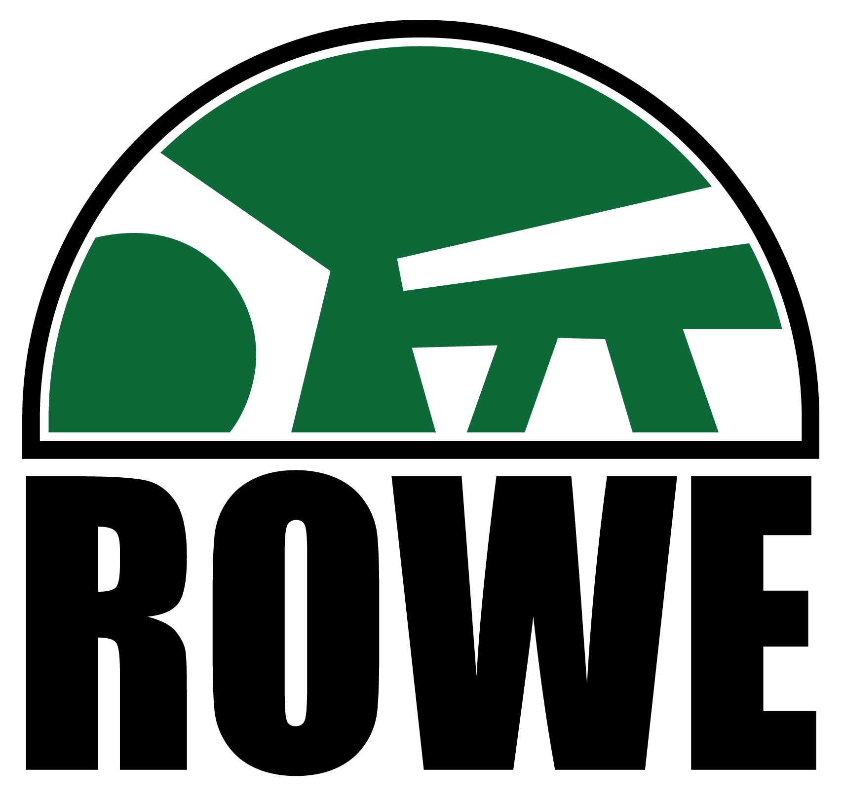 Bridge Project Manager at ROWE Professional Services Company